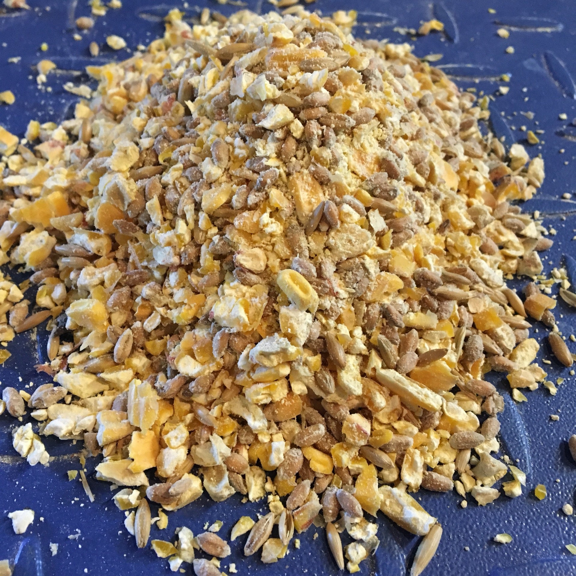 Scratch Feed (50LB) | Creekview Farms